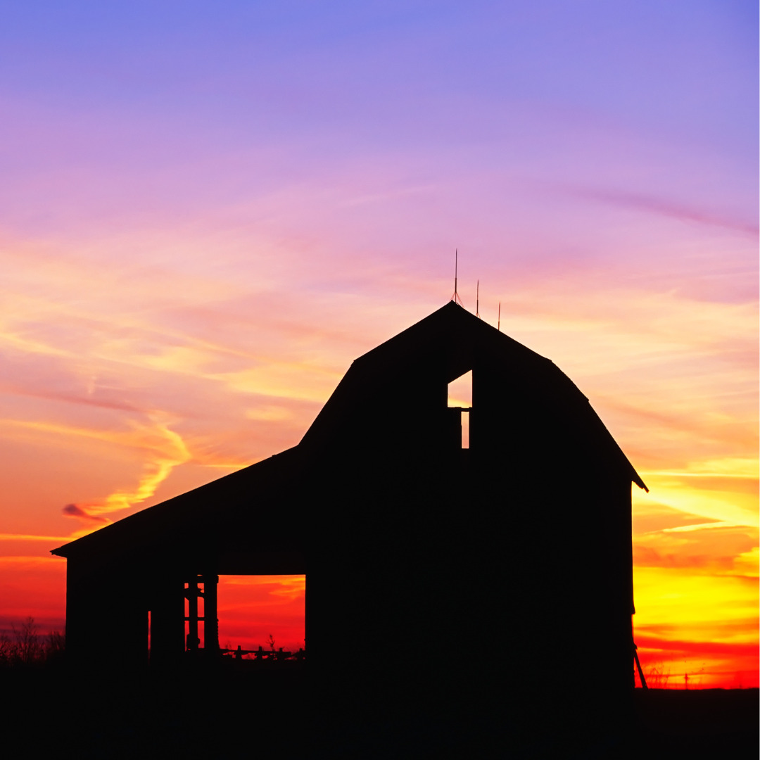 Congratulations to Swan's Board Member Terry Anker! - Swan Software Solutions