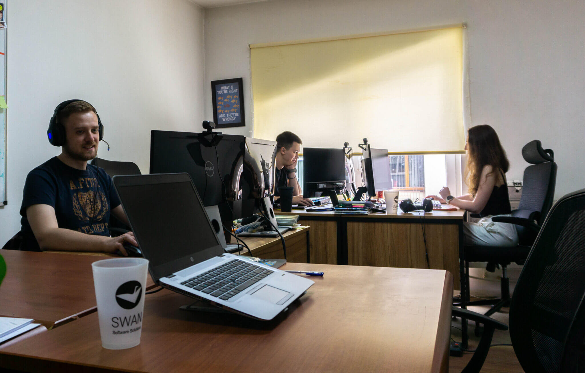 Swan Software Solutions